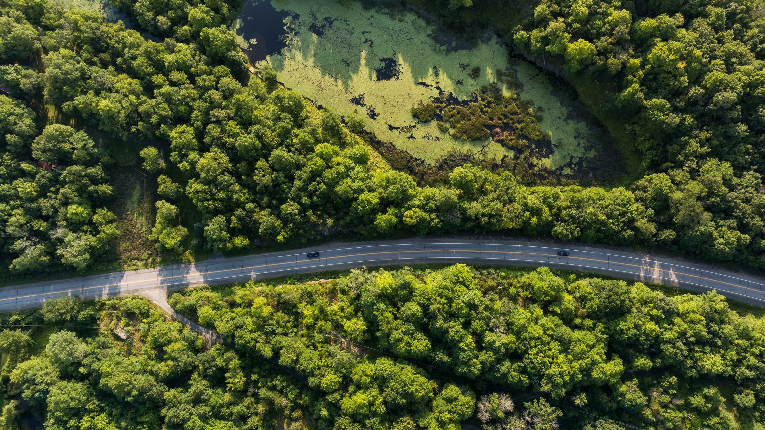 Roadside Weed Control - Summer 2025