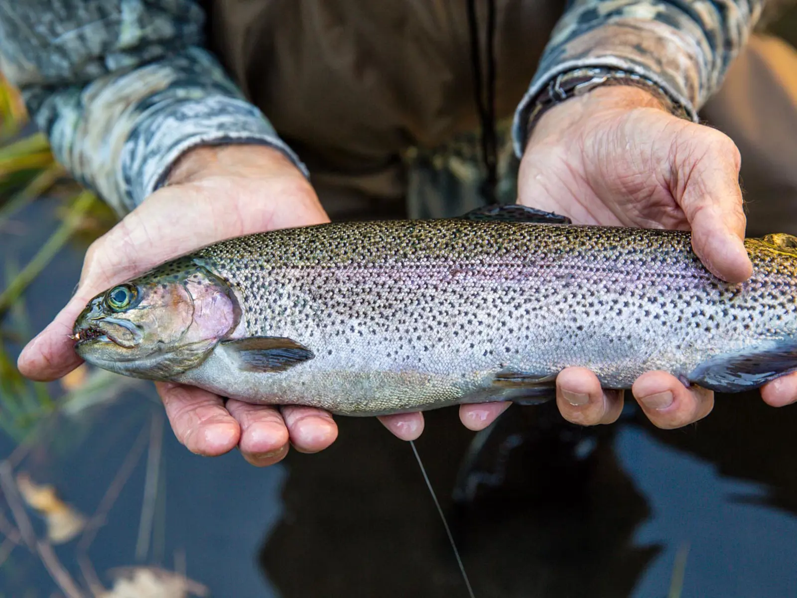 25 Things to Do | Township of South Frontenac